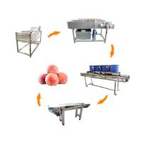 China Full Automatic Vegetable Processing Equipment Fruit Processing Line for sale