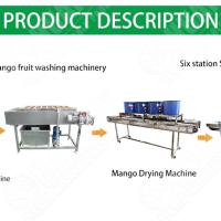 China Automatic Food Drying Machine Industrial Bubble Cleaning Equipment for sale
