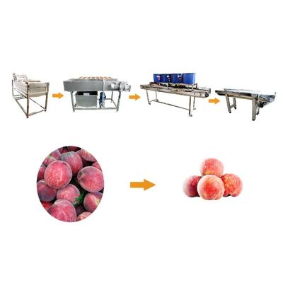 China Fruit Vegetable Washing And Drying Machine Vegetable Production Line for sale