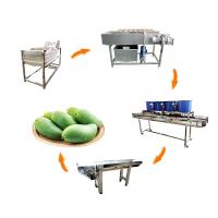 China Leafy Vegetable Washing And Drying Machine For Spinach Lettuce Cabbage for sale