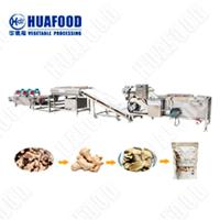 China Leafy Vegetable Washing And Drying Machine For Spinach Lettuce Cabbage for sale