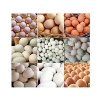 China High Quality Custom Shape Animal Shaped Hand-Held Egg Waffle Maker for sale