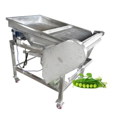 China Convenient pea shelling machine automatic fresh soybean edamame shelling machine wet broad bean peeling machine for sale
