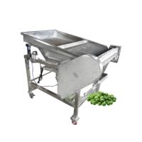 China New Automatic Industrial Pea Peeling Machine for sale