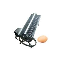 China Industrial Egg Washing Machine / Egg Breaking Machine / Egg Cracking Machine for sale