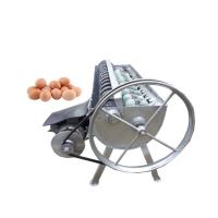 China Industrial Egg Washing Machine / Egg Breaking Machine / Egg Cracking Machine for sale