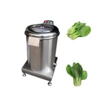 China The Functional And Practical  Water Chestnut Vegetable And Fruit Waste Press Dehydrator Multi-Function for sale