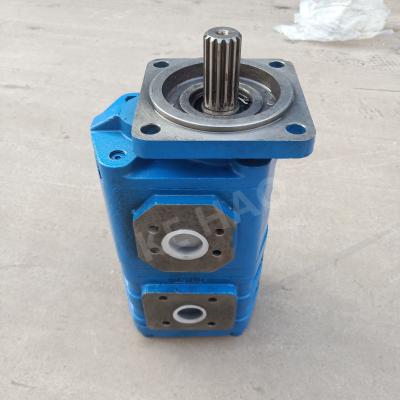 Cina CBGJ raddoppiano la pompa a ingranaggi originale del compatto della scanalatura della copertura del quadrato della pompa per l'organizzazione il macchinario e del veicolo in vendita