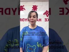 705-41-08240  wiellader 85ZA 85ZIV 90ZIV Versnellingspomp / pomp met variabele snelheid