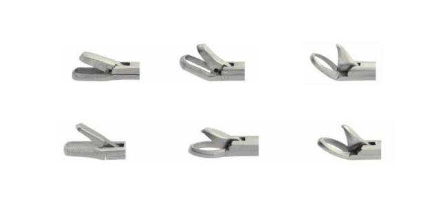Nasal Punch Forceps Cutting Forceps of Nasal Ethmoid