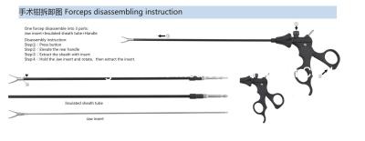 中国 パーソナライゼーション 再利用可能 5mm ディスタル 2 3 歯を握るフォリゼット 販売のため