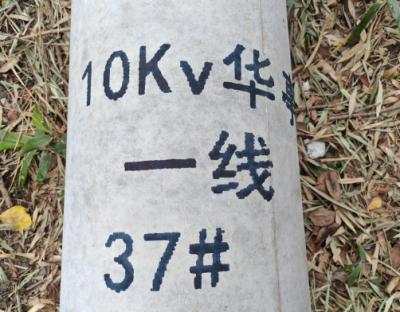 Chine Boîte Imprimante à jet d'encre à caractères volumineux 82 mm Machine d'impression de date Contrôle manuel à vendre