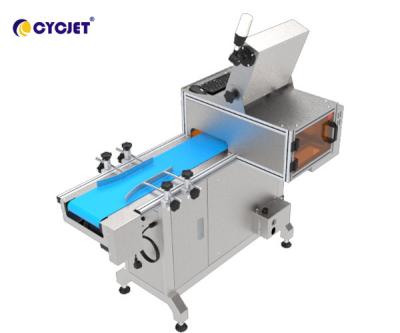 China Vision Inspection System Visual Inspection System For Coding Equipment Visual Detection for Laser Marking Machine for sale