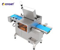 China Vision Inspection System Visual Inspection System For Coding Equipment Visual Detection for Laser Marking Machine for sale