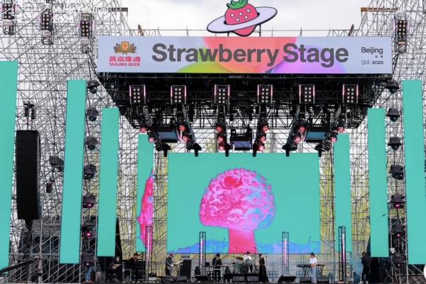 Quality High Brightness Indoor Display Screen P2 Led Panel Cabinet For Concerts 220V for sale