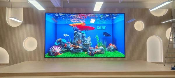 Quality Flexible COB Indoor Rental Led Display Panel Module Ultra HD for sale