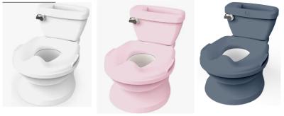 China Removable Bowl Chair Potty Seat OEM Potty Training Potty Seat for sale