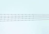 China 0.014 Inch Diameter Medical Guide Wire Flexibility For Precise Navigations for sale