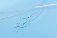 China Round Stone Baskets With Smooth Edges Silver Zero Tip Nitinol Stone Retrieval Basket for sale