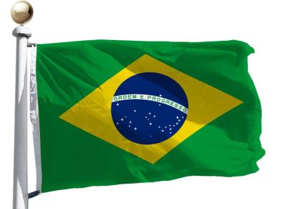 China 50 Countries International World Flag National Flags Custom Flags for sale
