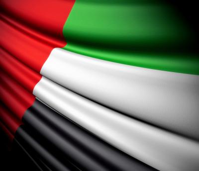 China The United Arab Emirates Flag 90x150cm knitted polyester national flag outdoor canvas header with grommets for sale