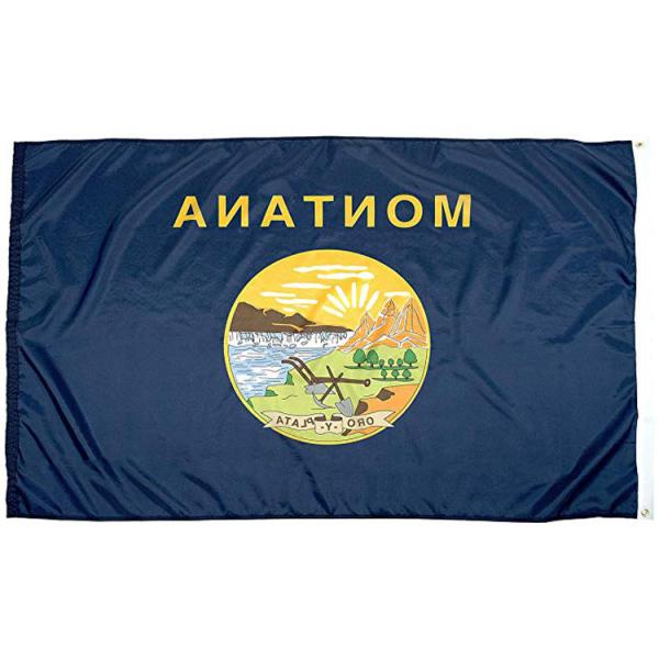 Quality State Of Missouri Flag 3x5ft Outdoor Heavy Duty Dupont Nylon US Flags Waterproof for sale