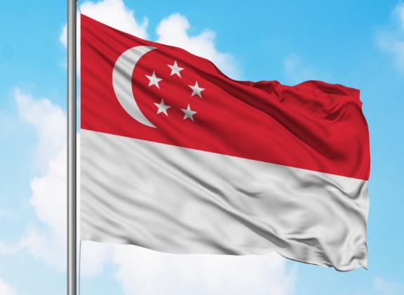 Singapore National Flag with canvas header and brass grommets