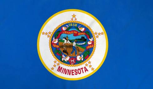 Minnesota State Flag with canvas heading and brass grommets