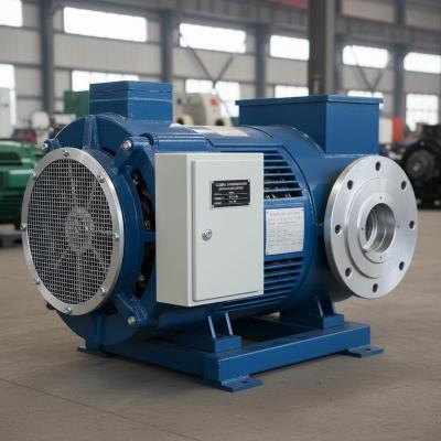 China 12.5kVA Brushless Synchronous Alternator with Class H Insulation Stamford-Compatible IP23 Protection for Industrial Generators for sale