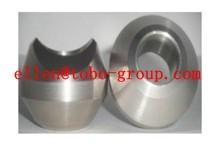 China TOBO STEEL Group  hastelloy forging weldolet sockolet threadolet for sale