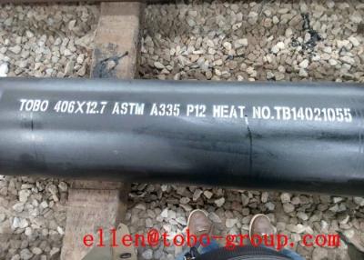 China Tobo Group Shanghai Co Ltd ASTM A209 T1b boiler superheater tube for sale