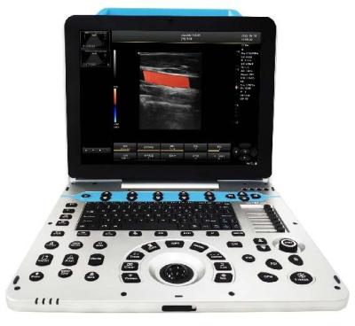 Cina Clinic Animal Veterinary Medical Devices For Cattle Horse Bovine in vendita