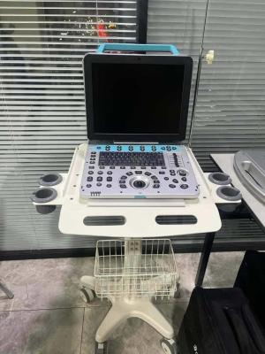 Cina Clinic Animal Veterinary Medical Devices For Cattle Horse Bovine in vendita