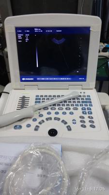 China Laptop Portable Color Dopler Ultrasound Machine Full Digital Portable B/W Ultrasound Scanner for human Te koop