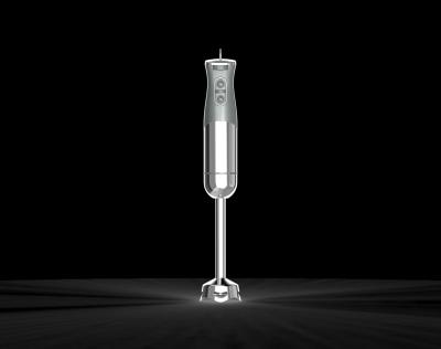 China 800W HAND BLENDER SET with two speed control (CE/GS/ROHS,EMC,LFGB) for sale