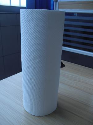 China Kitchen Paper Towel for sale