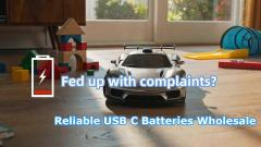 XTAR USB C Rechargeable Batteries for B2B Wholesale