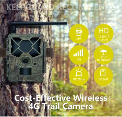 Chine KW886 caméra de chasse à la forêt et à la faune 4G carte SIM 24MP 1080P à 30fps GSM 4G APP imperméable IP67 à vendre