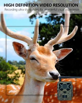 Chine KW886 caméra de chasse à la forêt et à la faune 4G carte SIM 24MP 1080P à 30fps GSM 4G APP imperméable IP67 à vendre