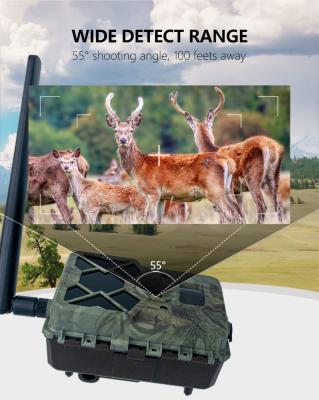 Chine KW886 caméra de chasse à la forêt et à la faune 4G carte SIM 24MP 1080P à 30fps GSM 4G APP imperméable IP67 à vendre