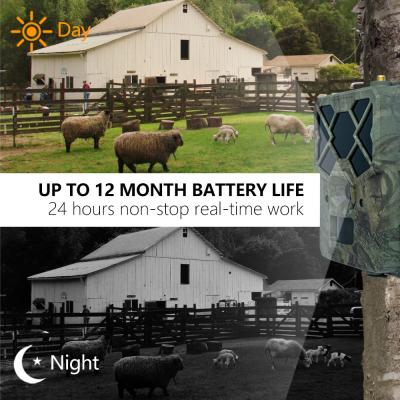 Chine KW886 caméra de chasse à la forêt et à la faune 4G carte SIM 24MP 1080P à 30fps GSM 4G APP imperméable IP67 à vendre