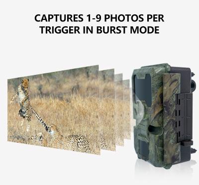 China KW866 WIFI Hunting wildlife trail Camera waterproof IP67 OEM/ODM 512GB Storage SD Memory Card 32MP 4K easy use for sale