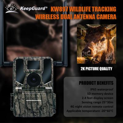 China 4G Wireless Trail Camera Hidden Camouflage KW897 com Dual Antennas Night Vision 36MP 2K Video para caça de veados à venda