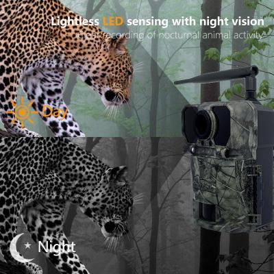 China 4G OEM/ODM wireless trial camera  KW895 30MP 0.25s trigger speed build in SIM card IP67 for sale