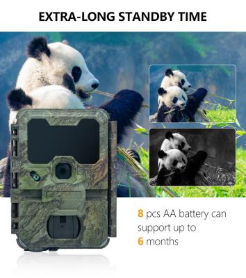 China KW866 WIFI Jachtpad Camera waterdicht IP67 OEM/ODM 512GB opslag SD geheugenkaart 32MP 4K Te koop