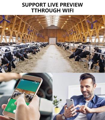 Cina KW866 WIFI Traccia da caccia Fotocamera impermeabile IP67 OEM/ODM 512GB Memoria SD 32MP 4K in vendita