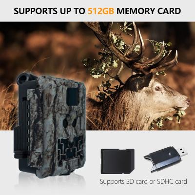 중국 KW591 야생동물 카메라 반짝이 없는 듀얼 센서 1080P 방수 IP67 0.4s 트리거 속도 최대 512GB 저장소 사냥 카메라 판매용