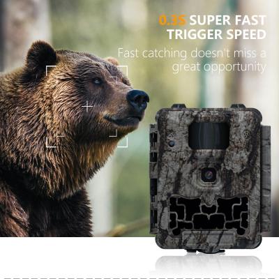 중국 트레일 카메라 KW561 30MP 0.25s 트리거 속도 4K 비디오 해상도 방수 IP67 최대 512GB 스토리지 할인 카메라 판매용