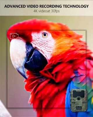 중국 WIFI 트레일 카메라 KW866 방수 IP67 OEM/ODM 최대 512GB 저장장치 SD 메모리 카드 32MP 4K 야생 동물 카메라 판매용