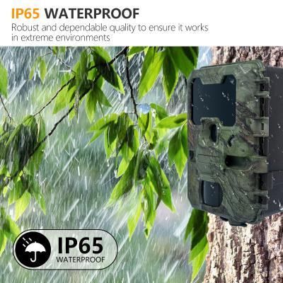 China Jachtcamera KW788 waterdicht IP67 4K video 32MP Makkelijk te navigeren eenvoudig te gebruiken robuust lange werktijd Te koop